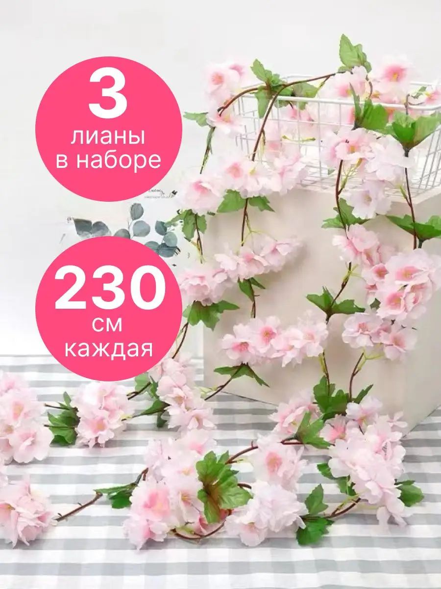 Лиана сакура-ml — фото 1