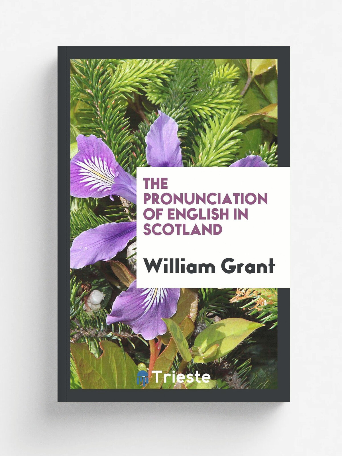 The pronunciation of English in Scotland