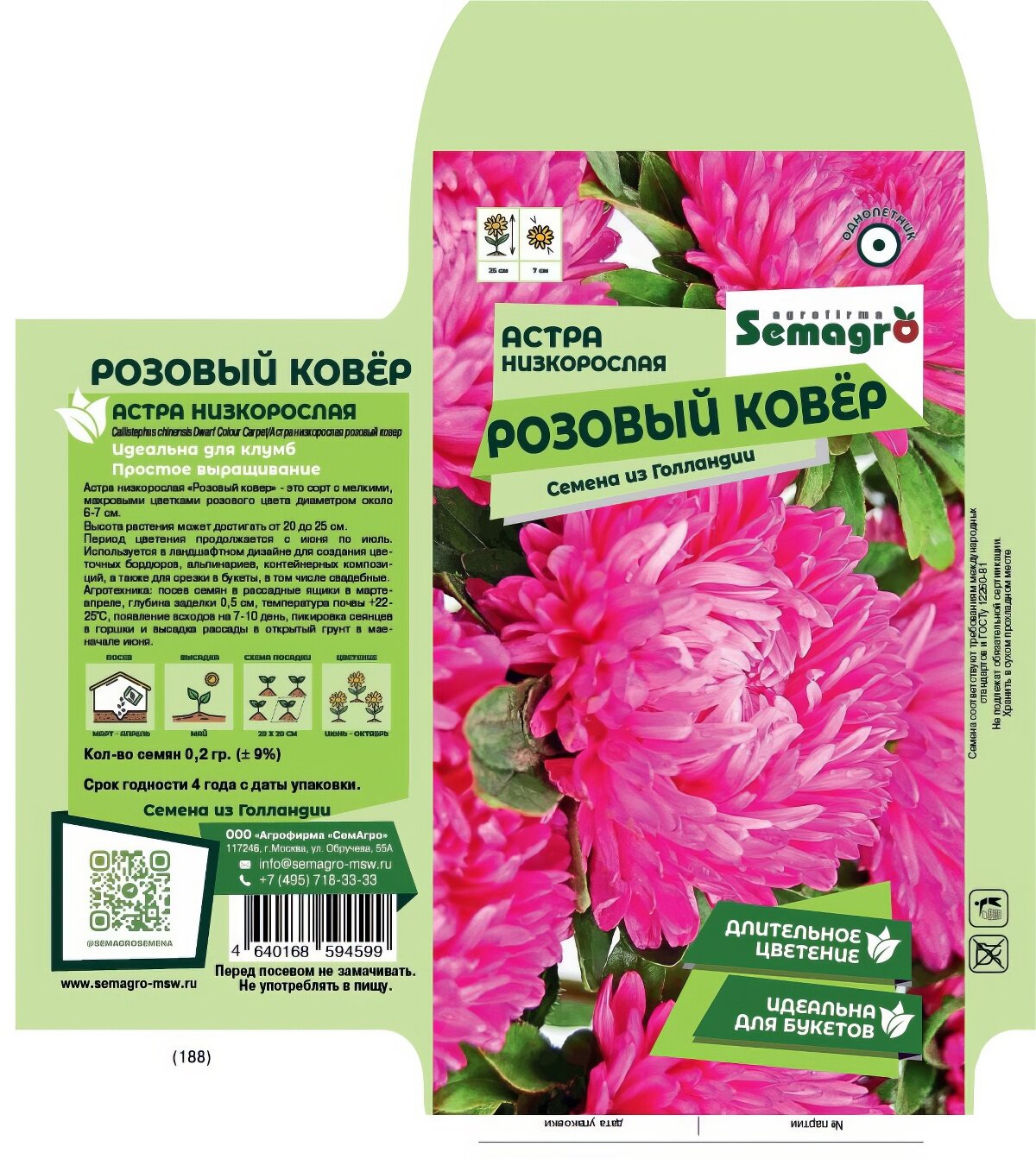 Семена Астра низкорослая Розовый ковёр