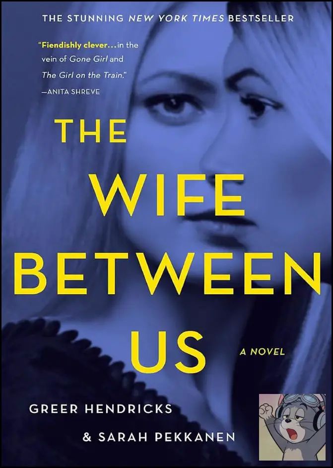 The Wife Between Us by Greer Hendricks Sarah Pekkanen Psychological Thriller Paperback