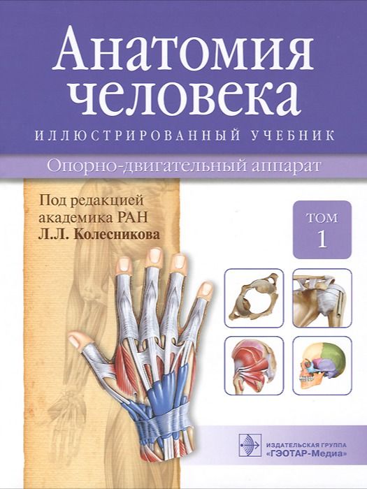 Анатомия человека. Учебник в 3 томах. Том 1. Опорно-двигательный аппарат