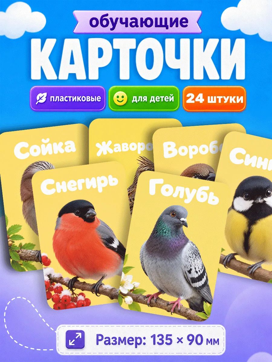 Развивающие карточки для детей Птицы