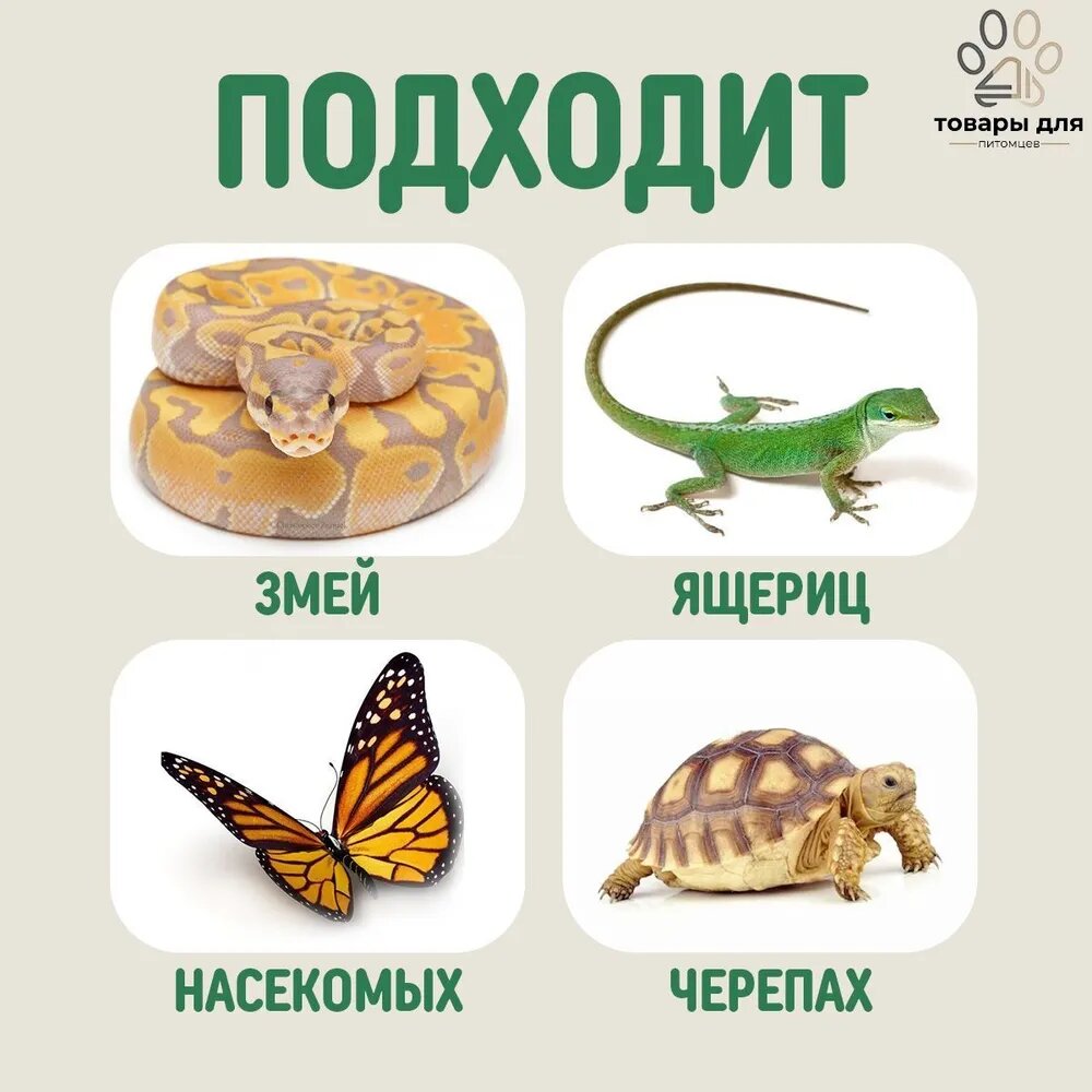 Ферма бабочек складная 90х60х60 см черный садок для насекомых и растений — фото 1