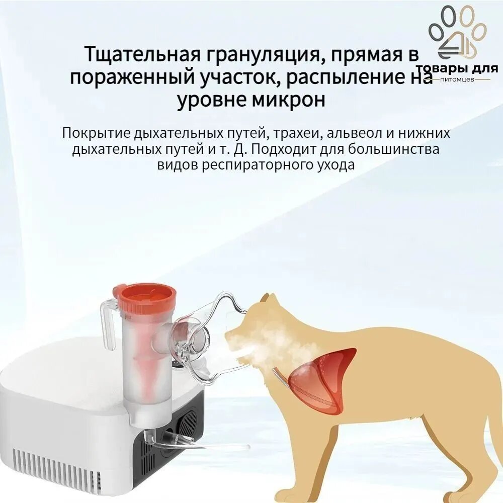 Инструмент ветеринарный для собак и кошек, 1 шт, Box Set, Китай — фото 1