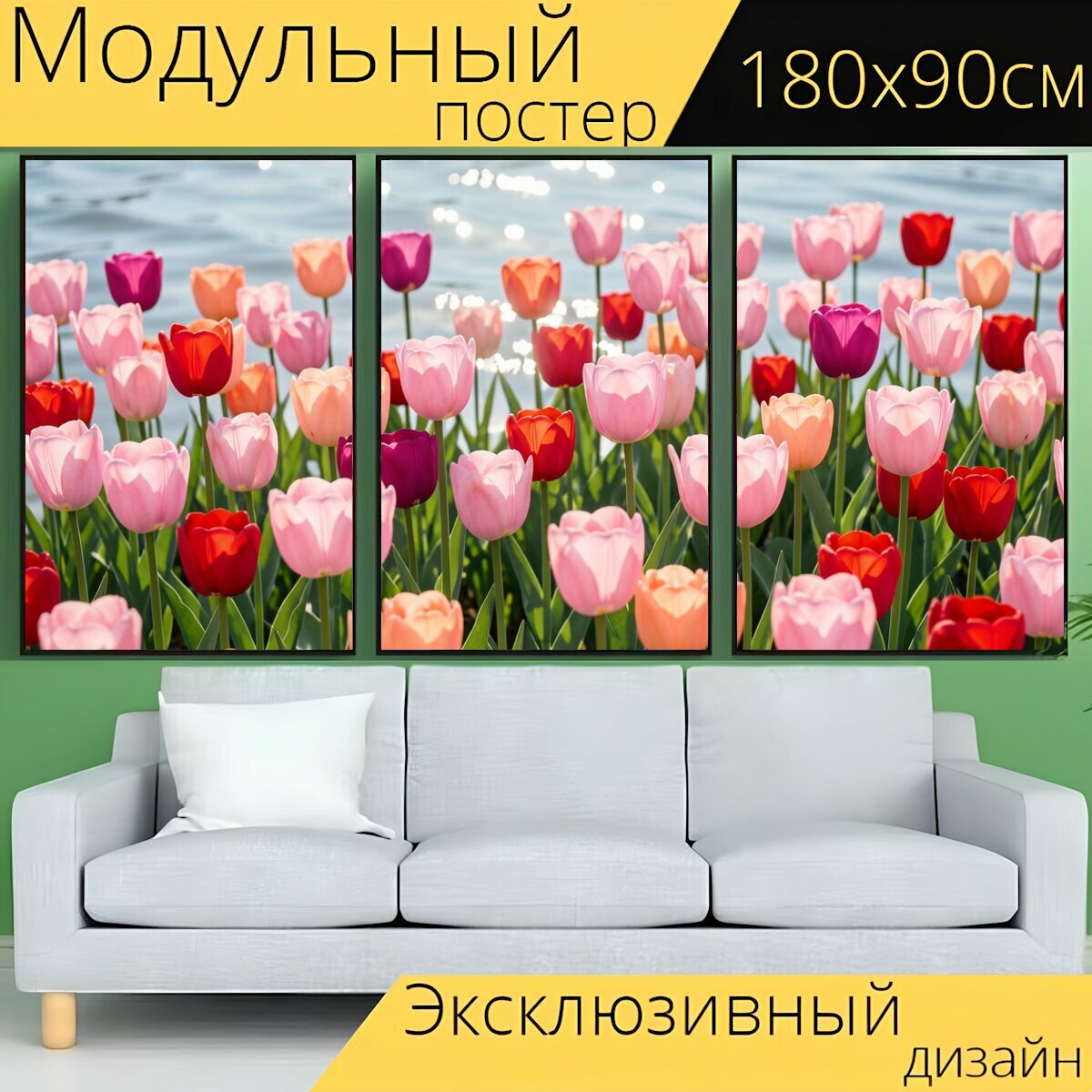 Модульный постер "Цветущие тюльпаны у воды. Нежная весенняя композиция с множеством разноцветных бутонов на фоне блестящей водной." 180 x 90 см. для интерьера на стену в тубусе