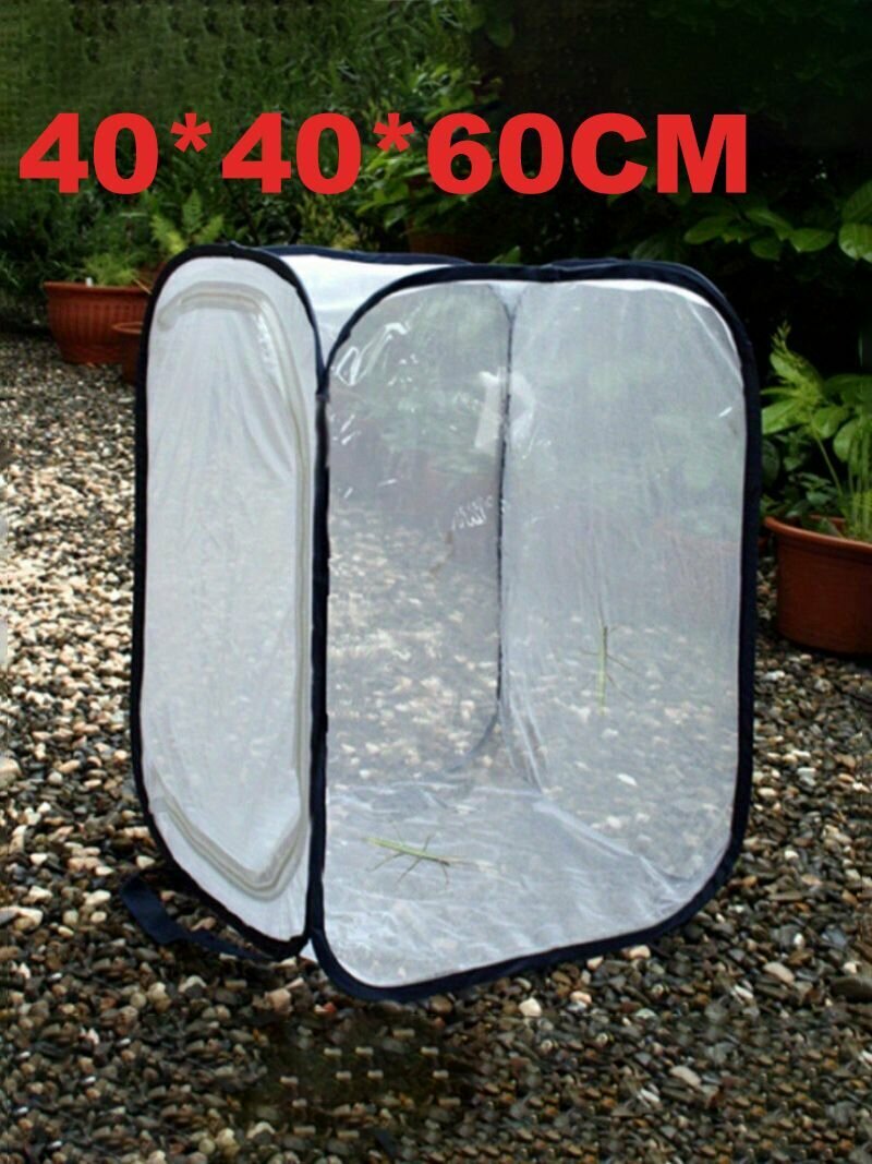 Ферма Бабочек Для Выращивания