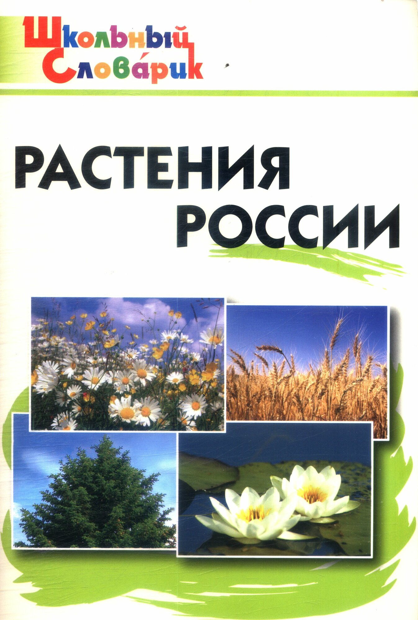Школьныйсловарикфгос Растения России. Начальная школа (Васильева Н. Ю.) (2018-2021гг), (вако), Обл, c