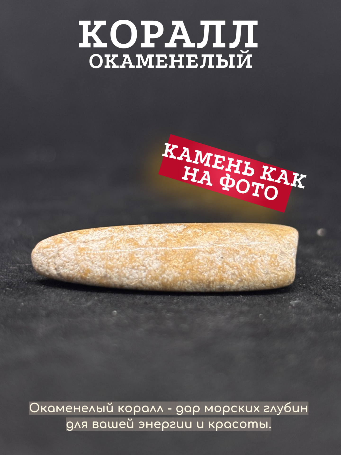 Коралл натуральный