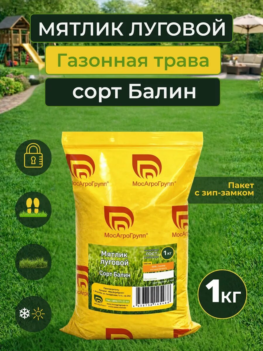 Семена мятлика лугового 1кг сорт Балин Мосагрогрупп для газона