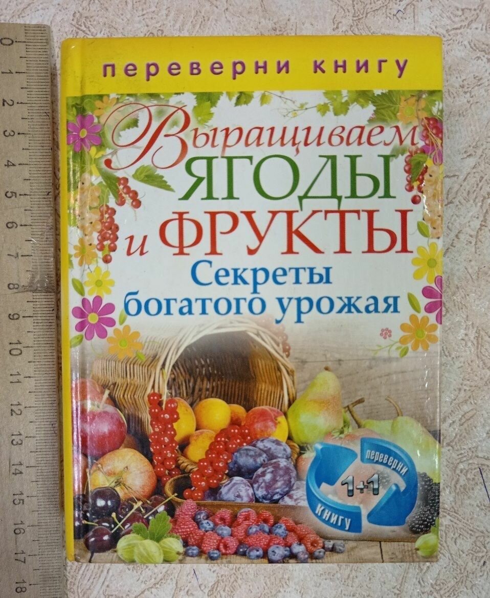 Выращиваем ягоды и фрукты. Выращиваем овощи