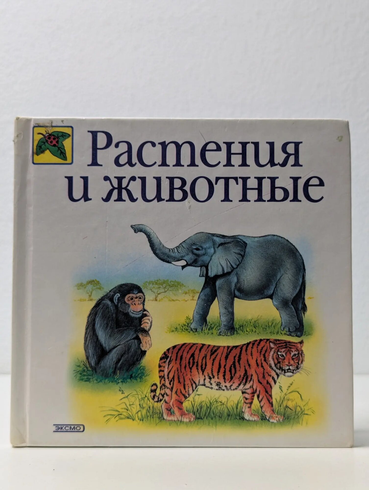 Растения и животные Светлова Ирина Евгеньевна 2002