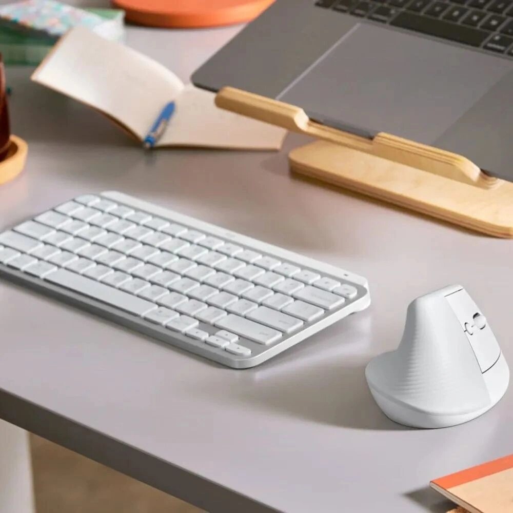 Мышка компьютерная LOGITECH Lift белая оптическая 4000dpi silent