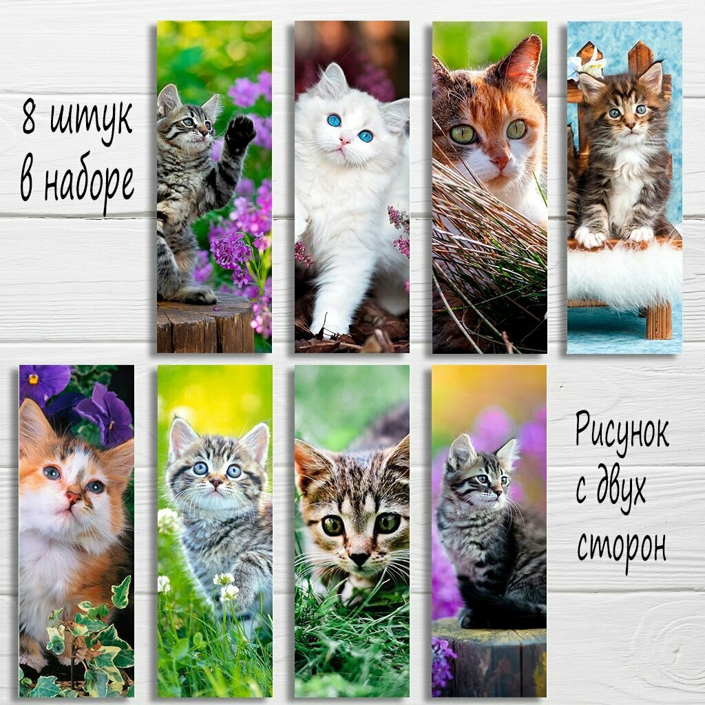 Закладка для книг с котиками, набор из 8 штук