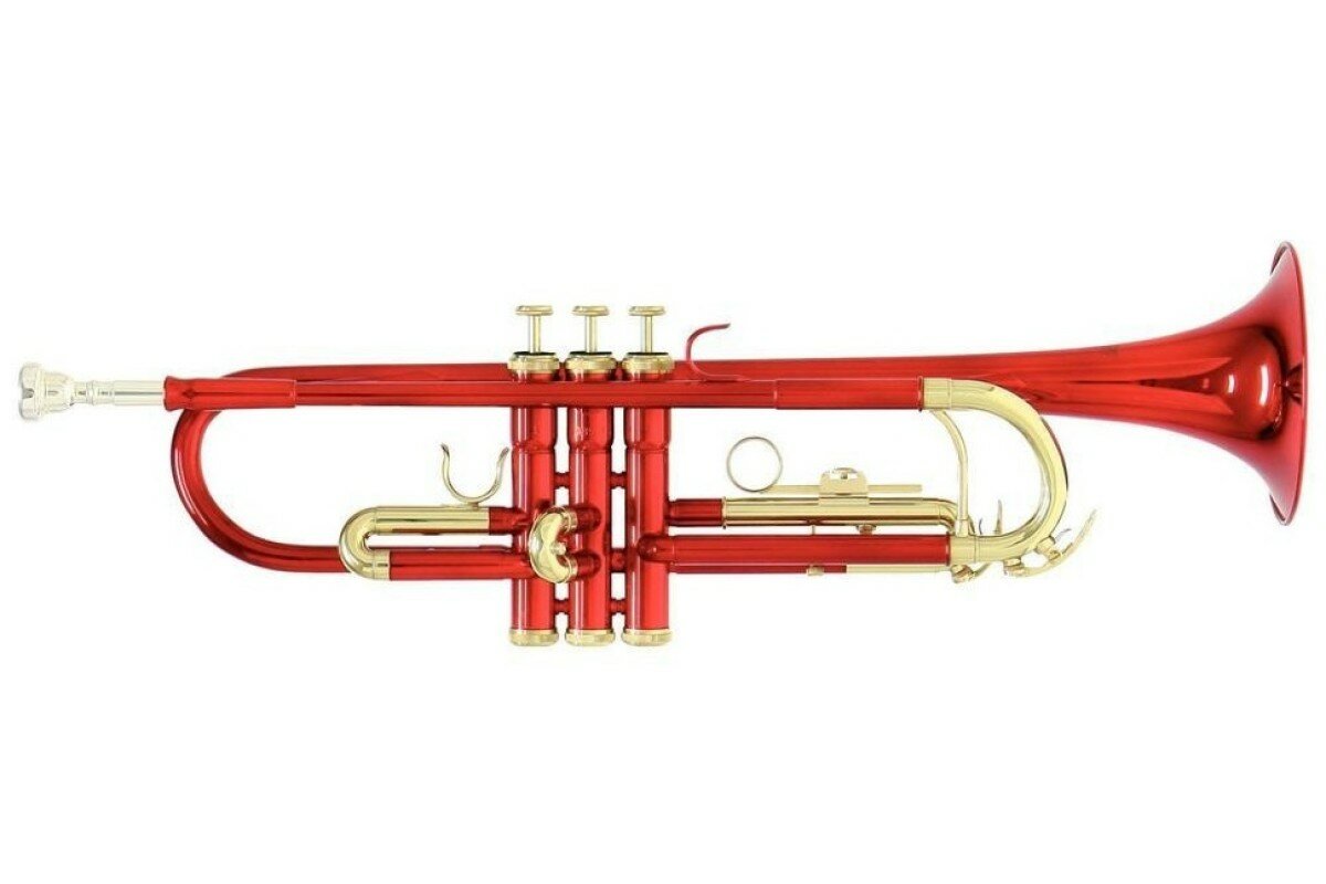 Roy Benson TR-101R Bb труба