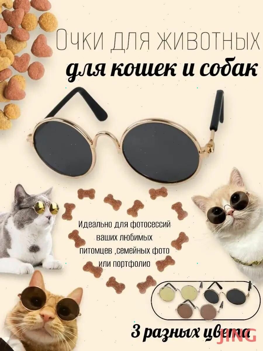 Одежда для животных