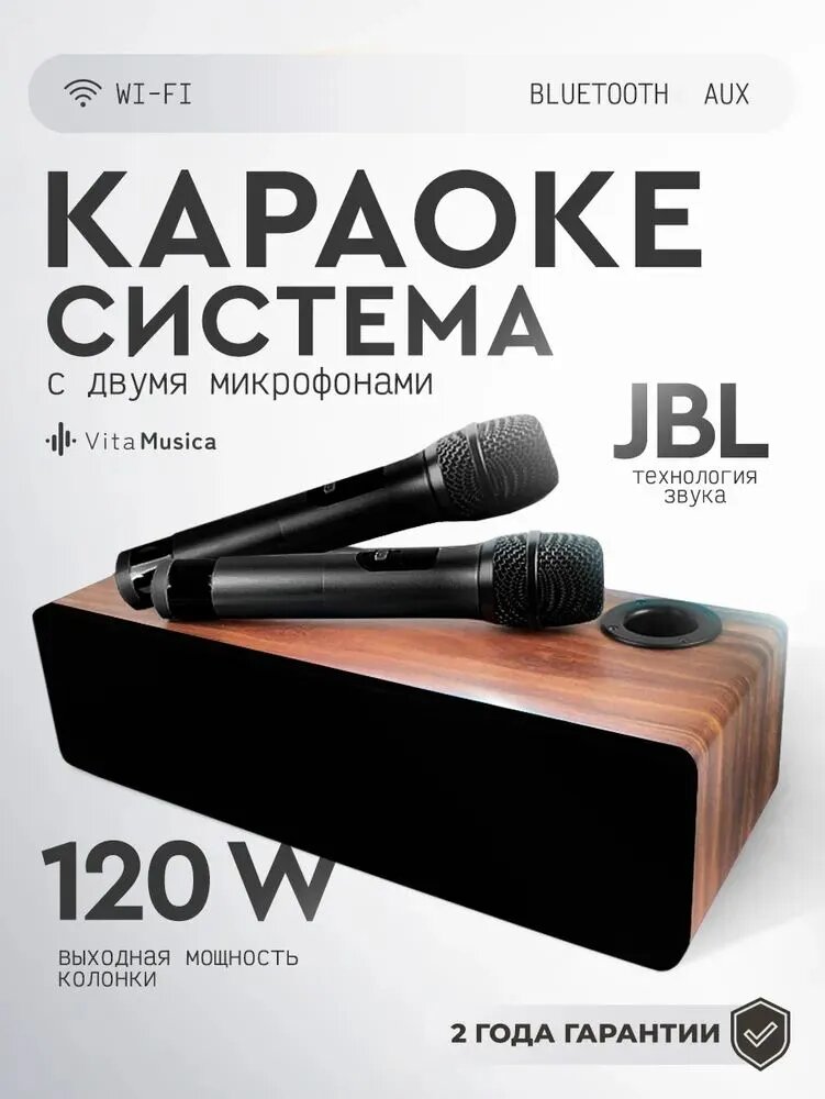 Караоке система Vita Musica с двумя беспроводными микрофонами