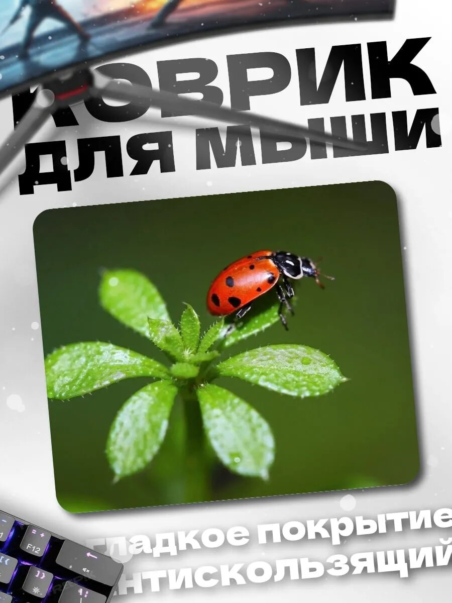 Коврик для мыши Божья коровка на листе