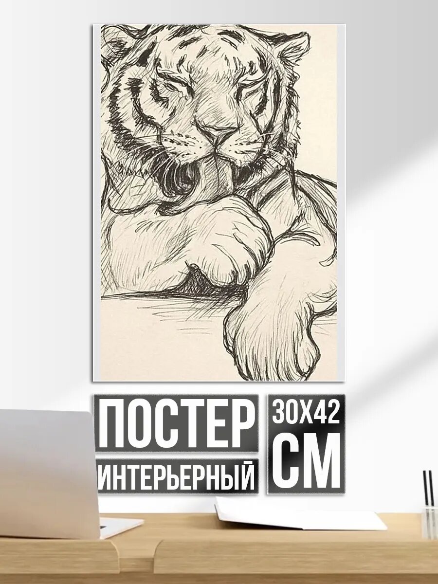 Плакат постер Тигр отдыхает
