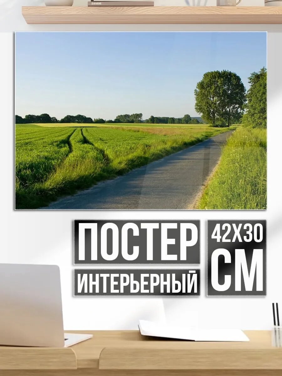 Плакат постер Летняя дорога в поле