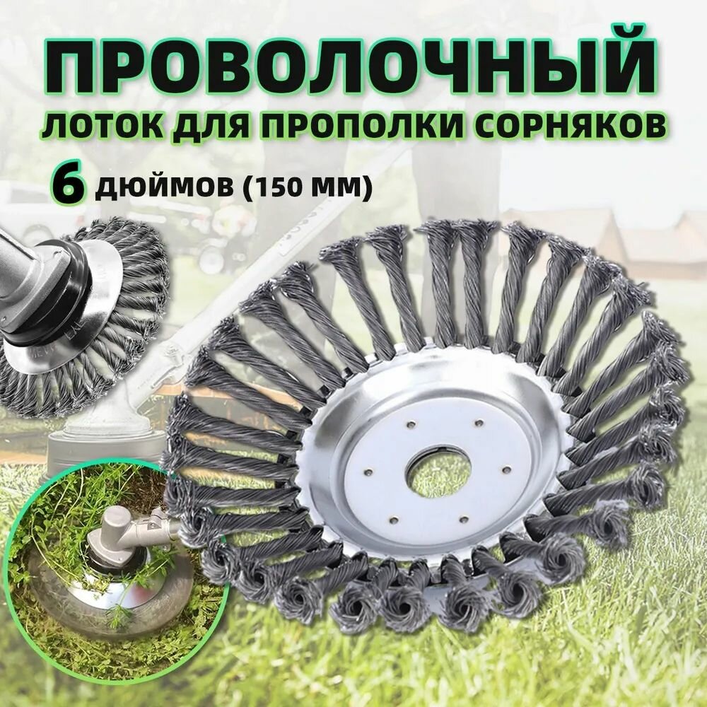 Полольник