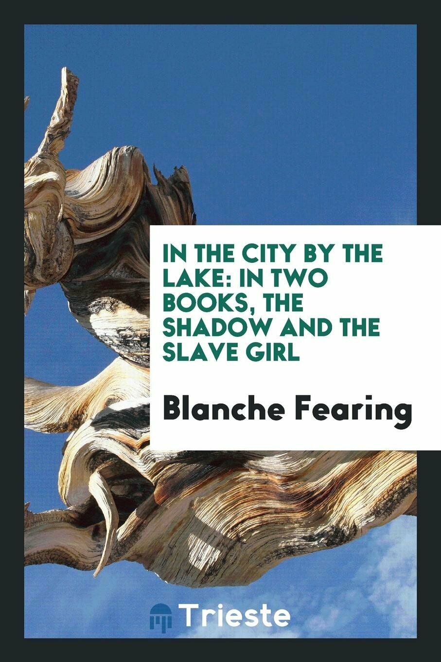 In the City by the Lake. In Two Books, The Shadow and The Slave Girl