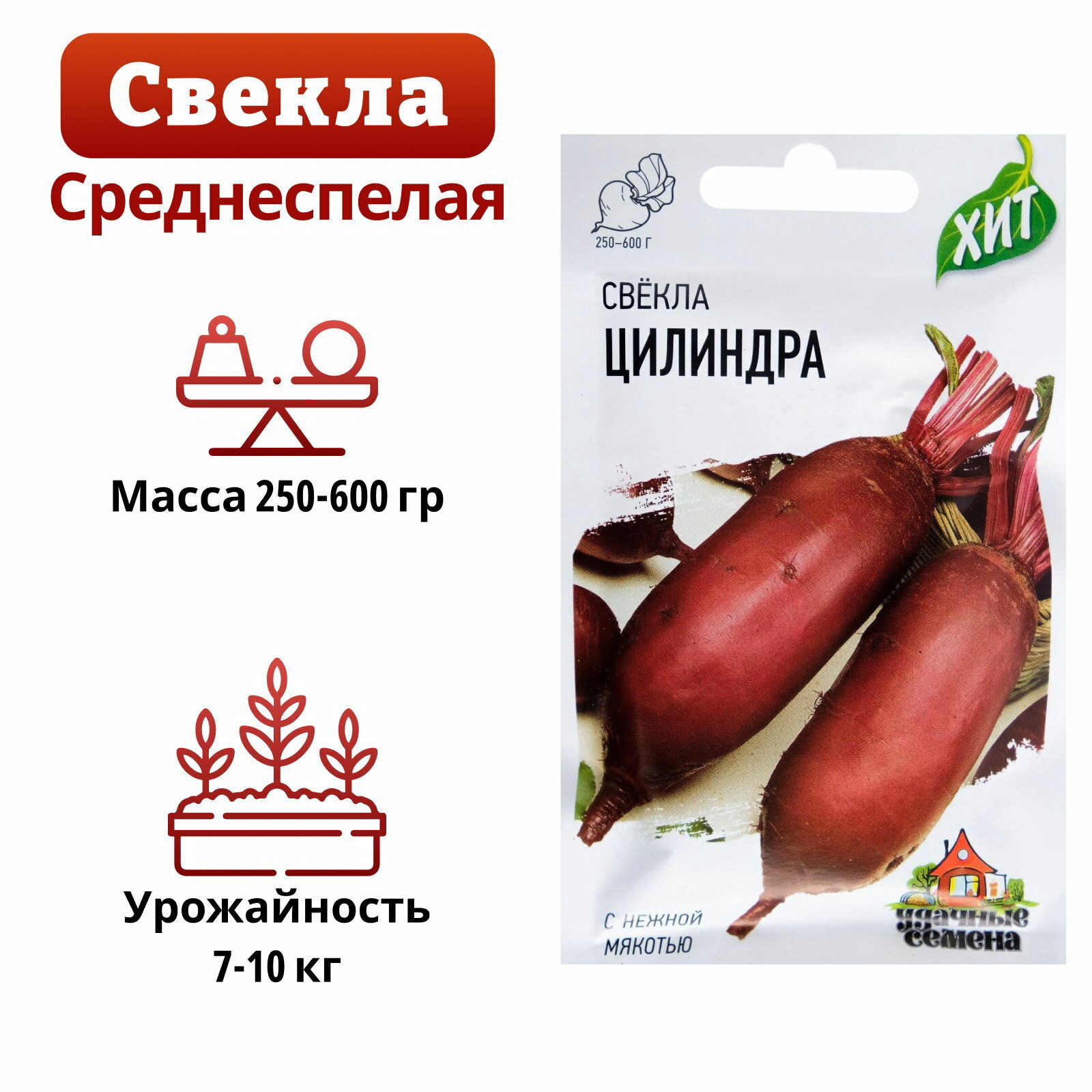 Семена Свекла "Цилиндра", ц/п, 2 г серия ХИТ х3, посев (посадка) в грунт: апрель, 4 шт.