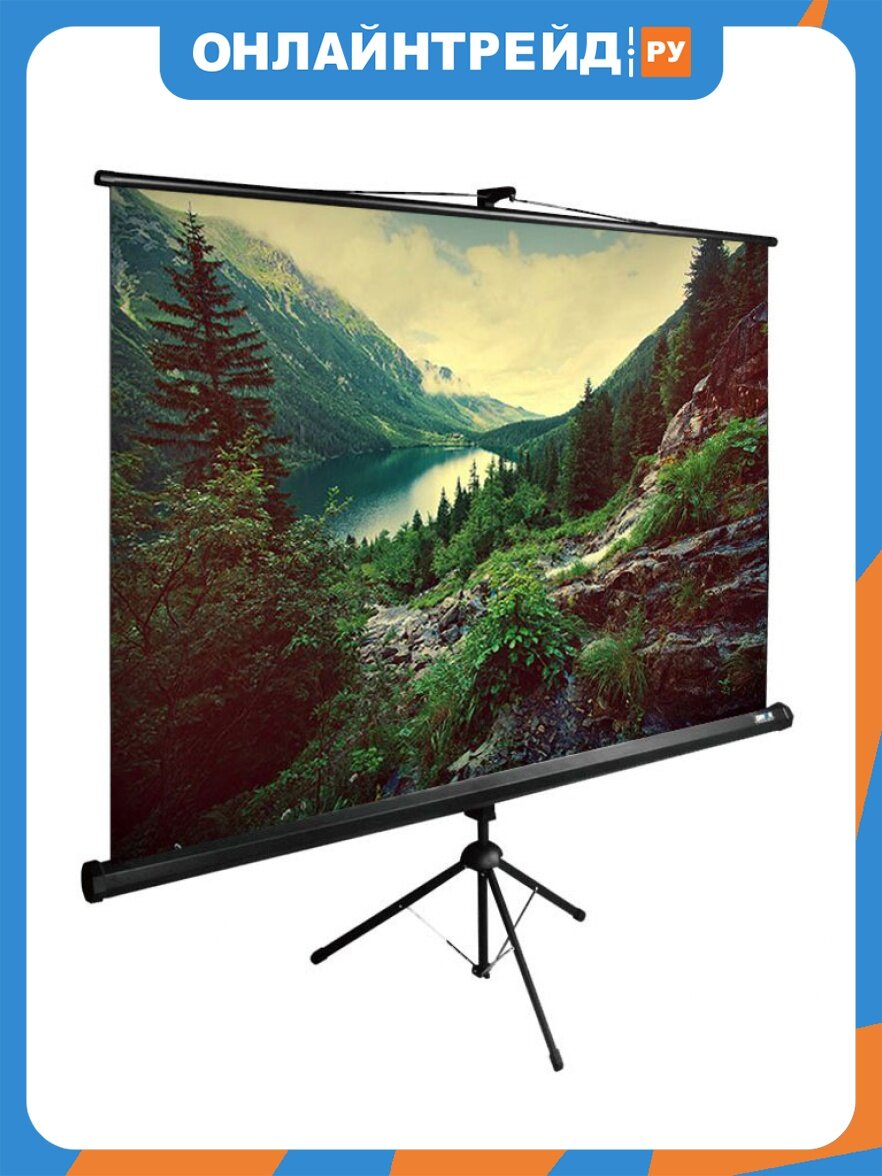 Экран Cactus 220x220см TriExpert CS-PSTE-220x220-BK 1:1 напольный рулонный черный