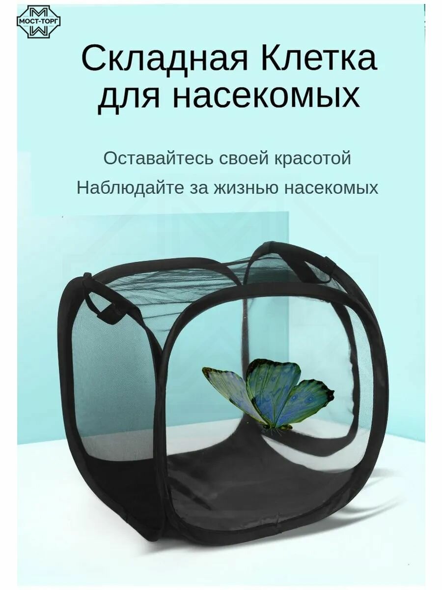 Ферма бабочек — фото 1