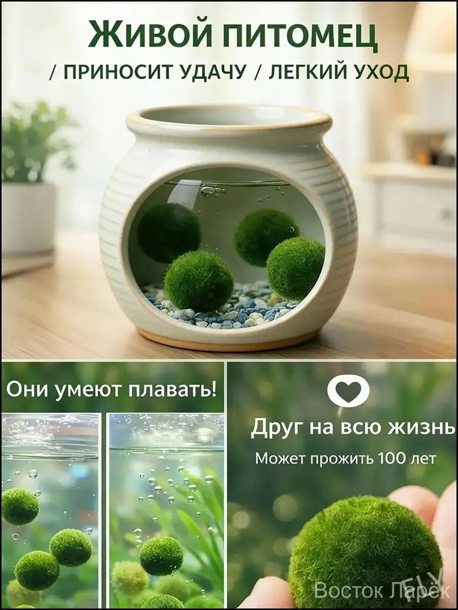 Живые водорослиНабор 4 шт, Натуральный мох шарики для аквариума, Символ удачи и любви