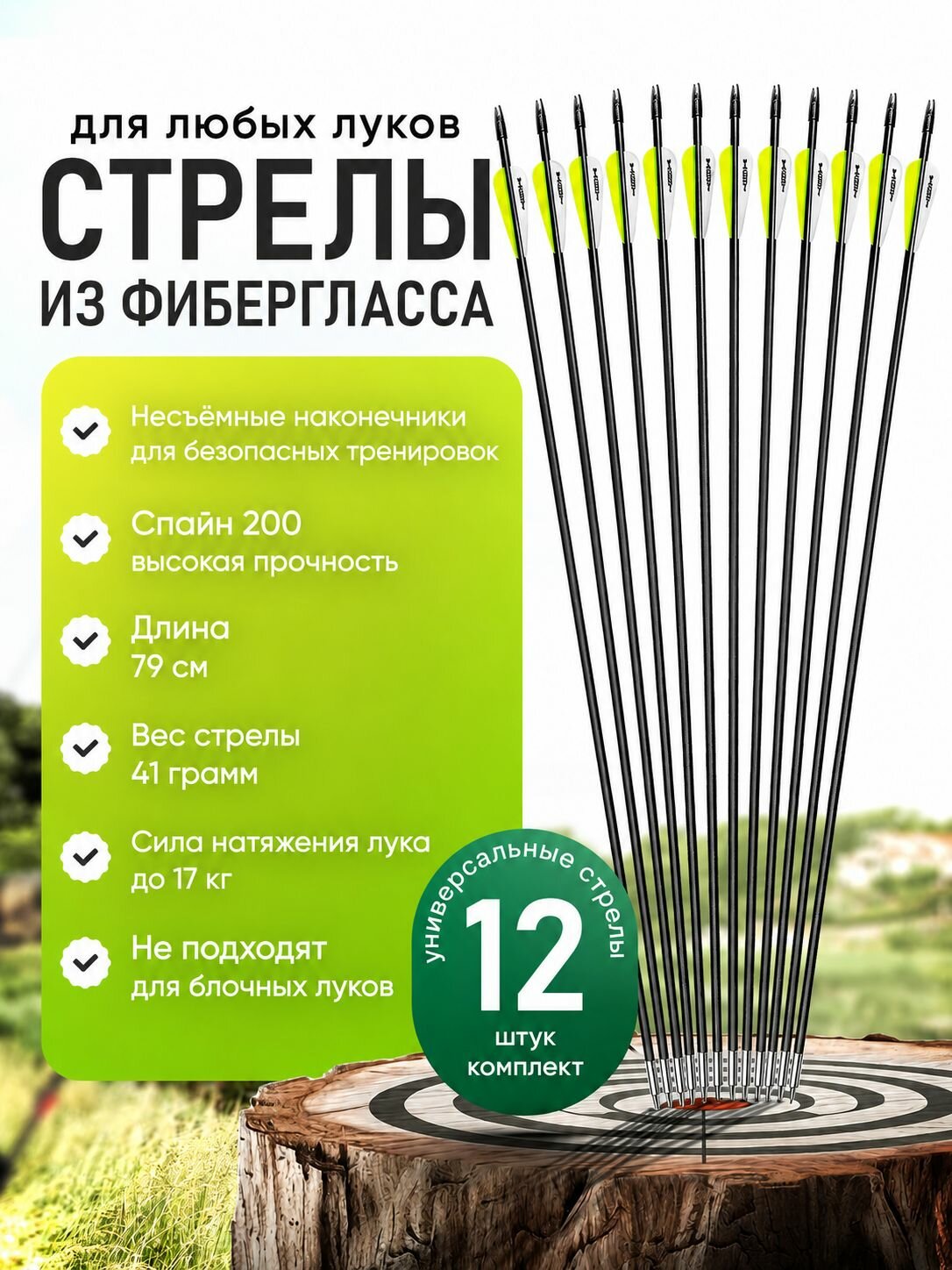 Стрелы для лука 12 штук, набор, спайн 200, спортивные, тренировочные