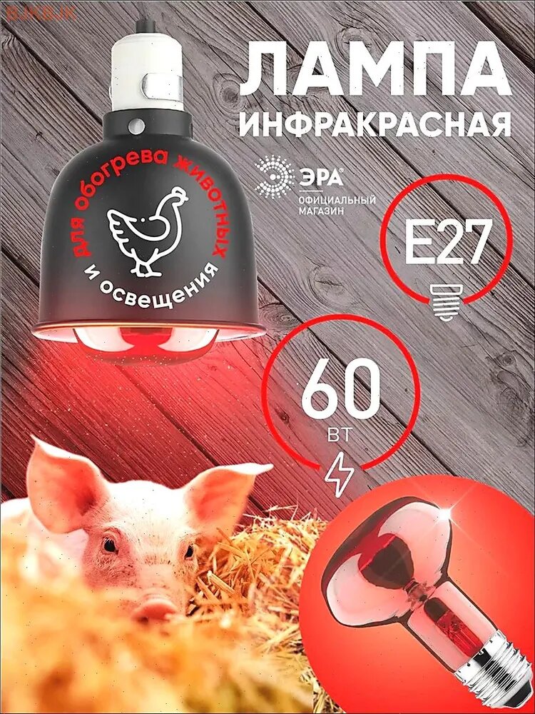 Лампочка икзк 230-60 R63 Е27 ЭРА / Инфракрасная лампа для курятника, для обогрева, для растений, для птиц, для животных, для цыплят, 60 Вт