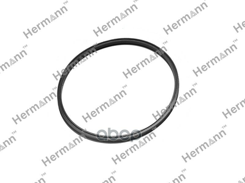 Уплотнение корпуса насоса Hermann арт. HRA6462300165