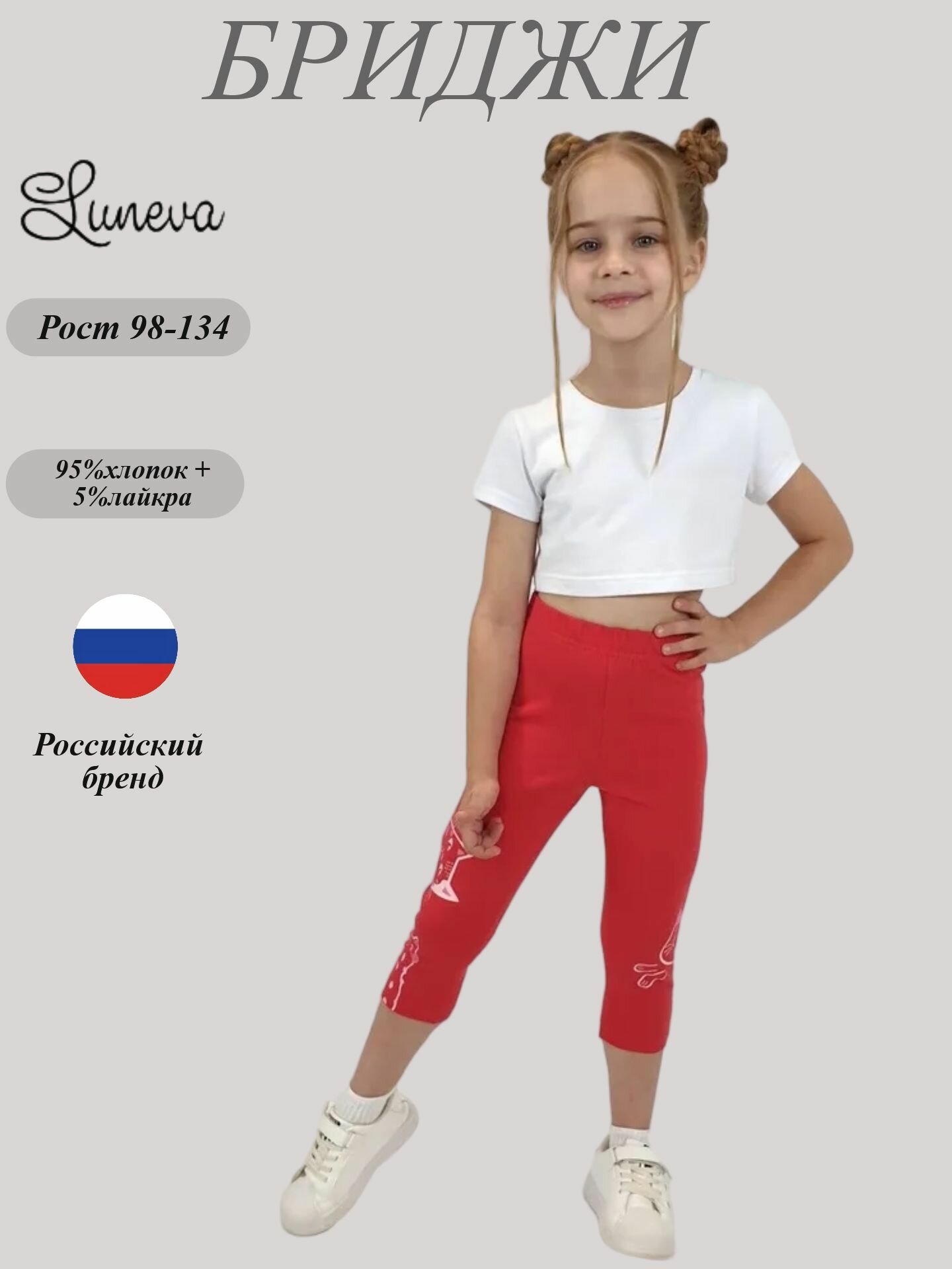 Бриджи