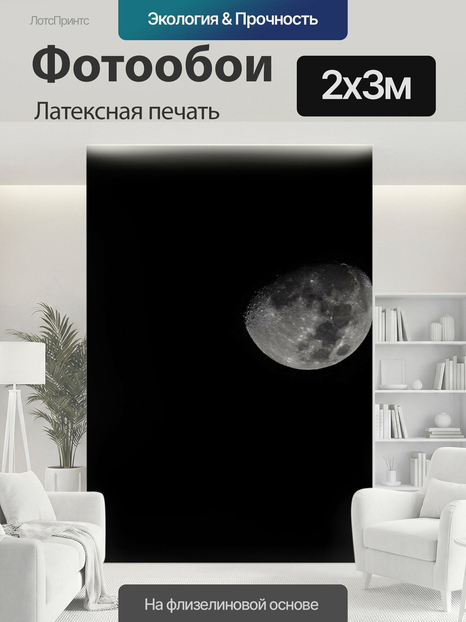 Фотообои моющиеся ударопрочные "Черное и белое, ночь, темный" 200x300 см. латексная печать