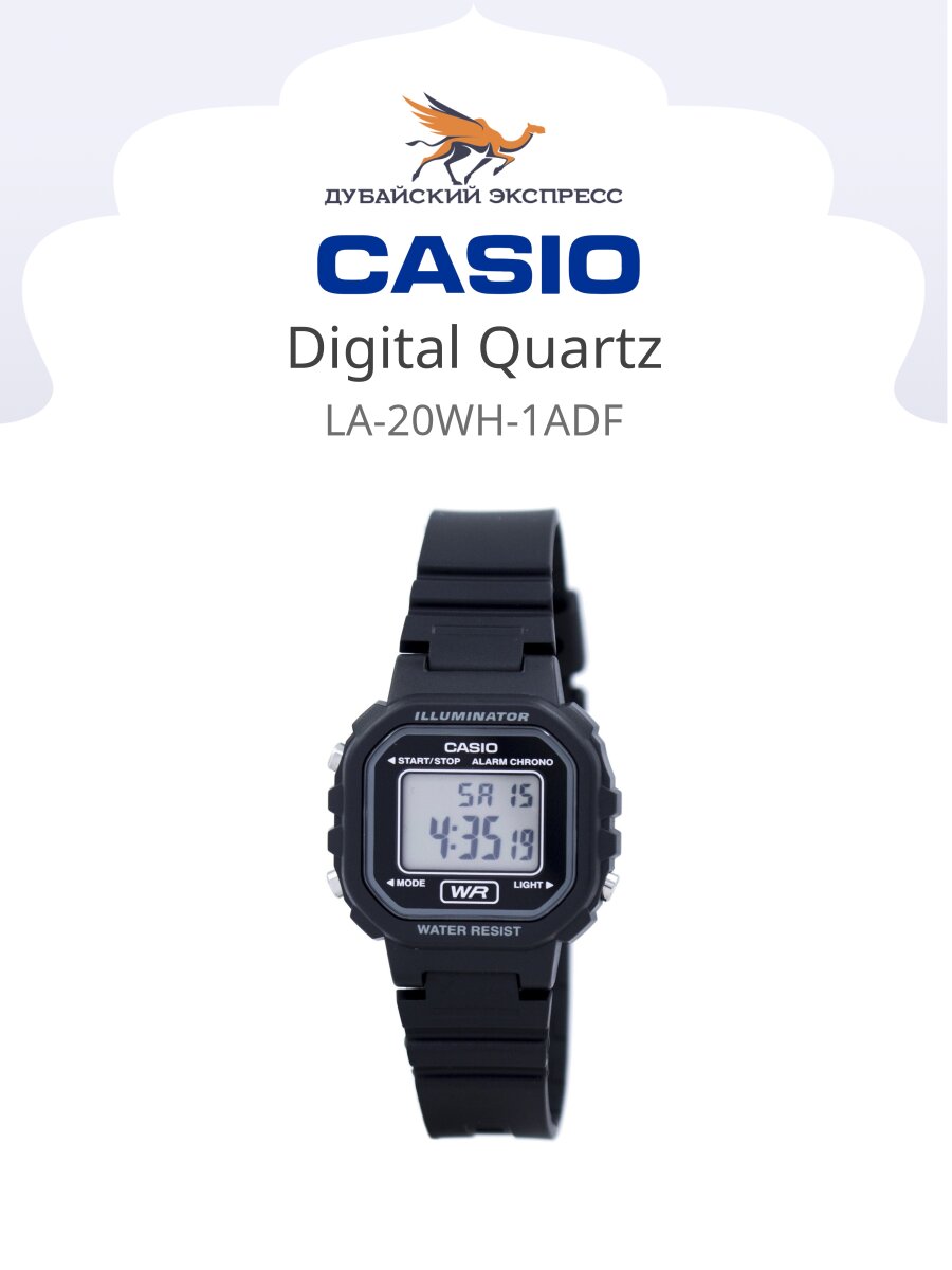  CASIO