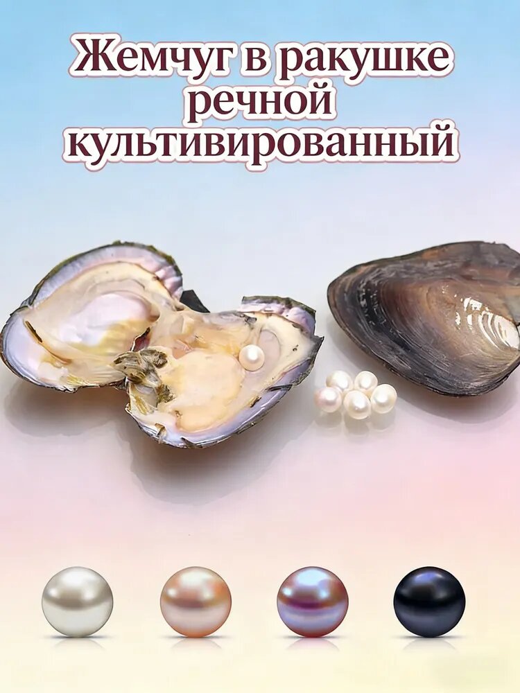 Жемчуг в ракушке речной культивированный / вакуум
