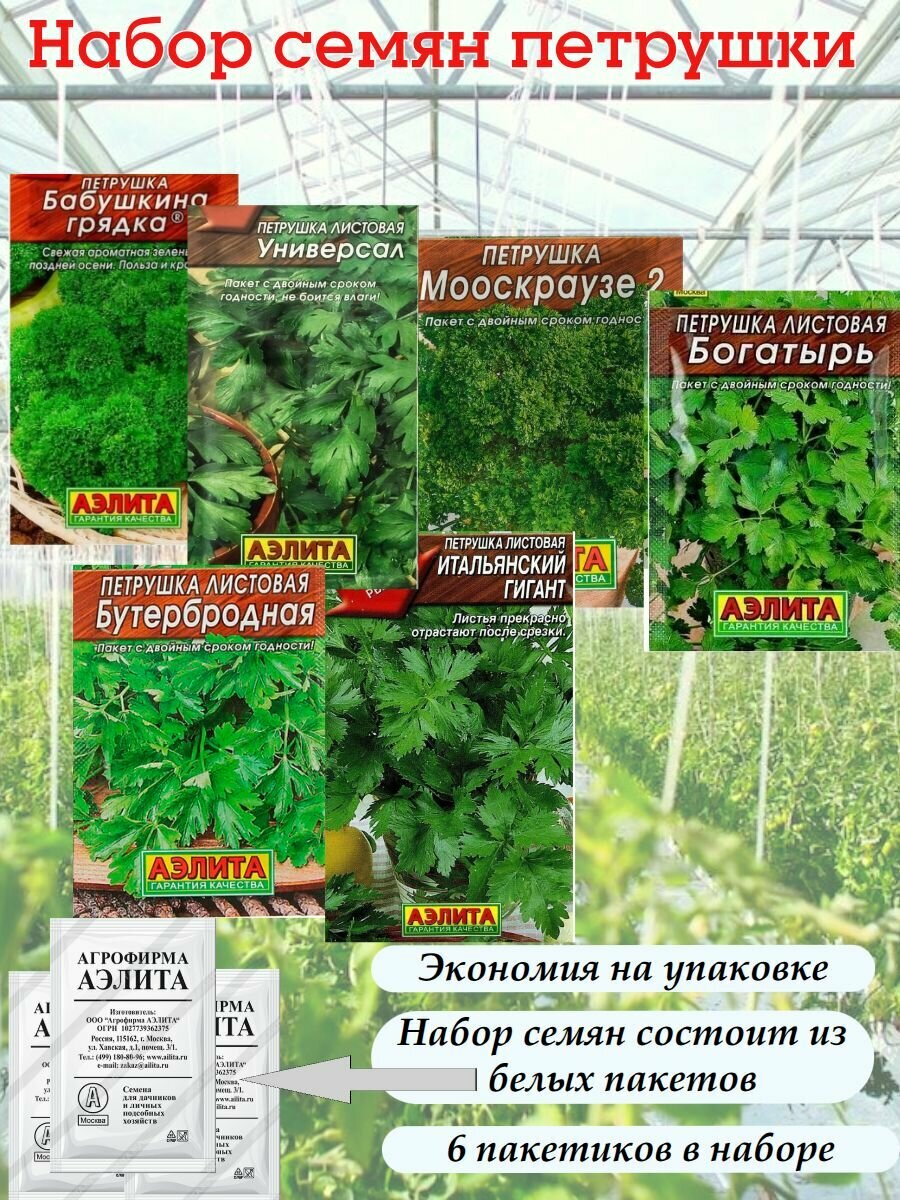 Семена петрушки набор 6 сортов кудрявая и листовая для зелени Аэлита петрушка кудрявая петрушка листовая зелень