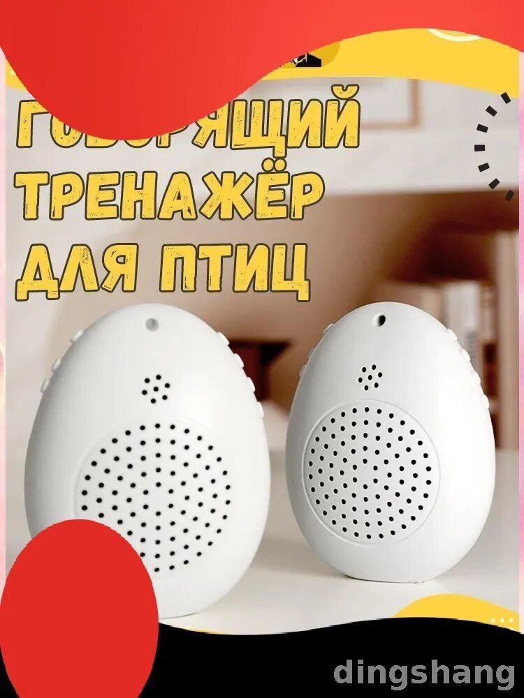 Эксклюзивный аксессуар для животных представлен-dingshang