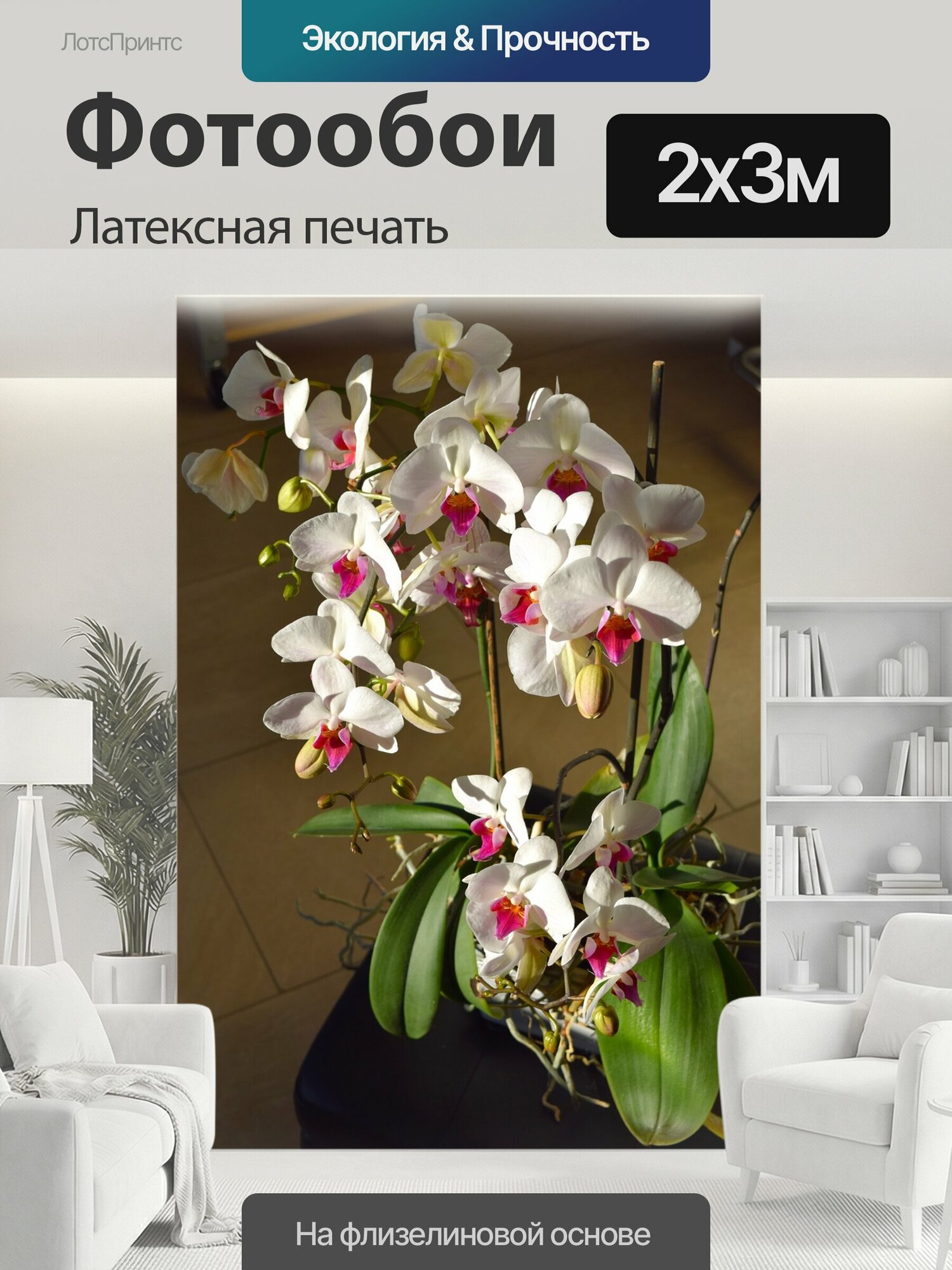 Фотообои моющиеся ударопрочные "Цветок, цвести, орхидея" 200x300 см. латексная печать