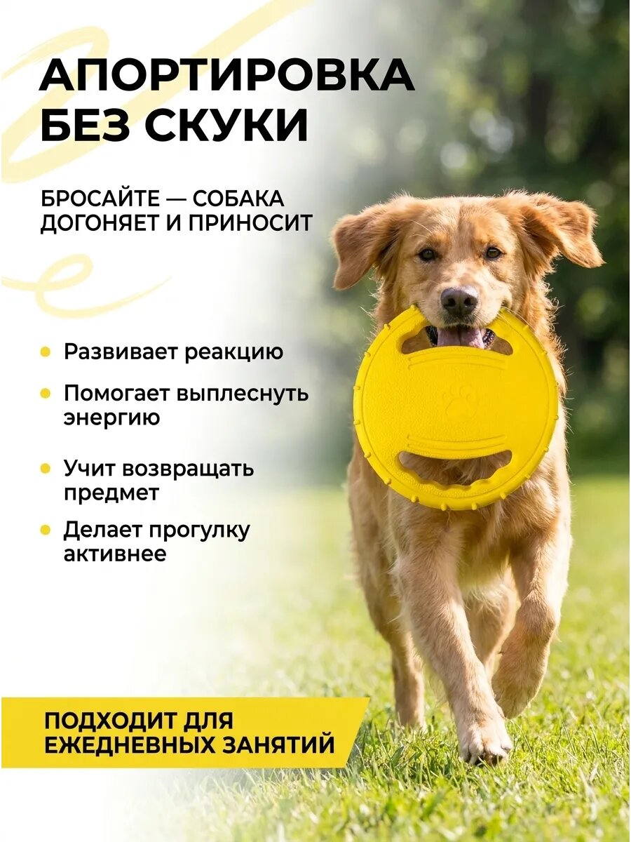 Пуллер для собак "Фрисби", для прогулок и апортировки, яркий жёлтый — фото 1