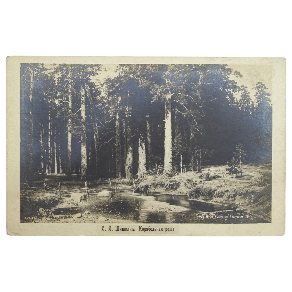 Почтовая открытка "И. И. Шишкин - Корабельная роща" 1900-1917 гг. Российская Империя