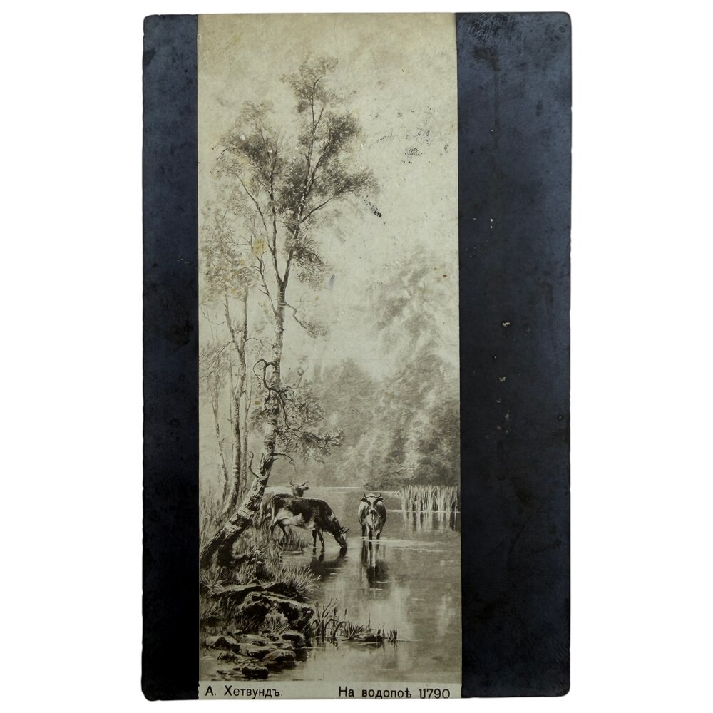 Почтовая открытка "Хетвунд - На водопое" 1900-1913 гг. Российская Империя