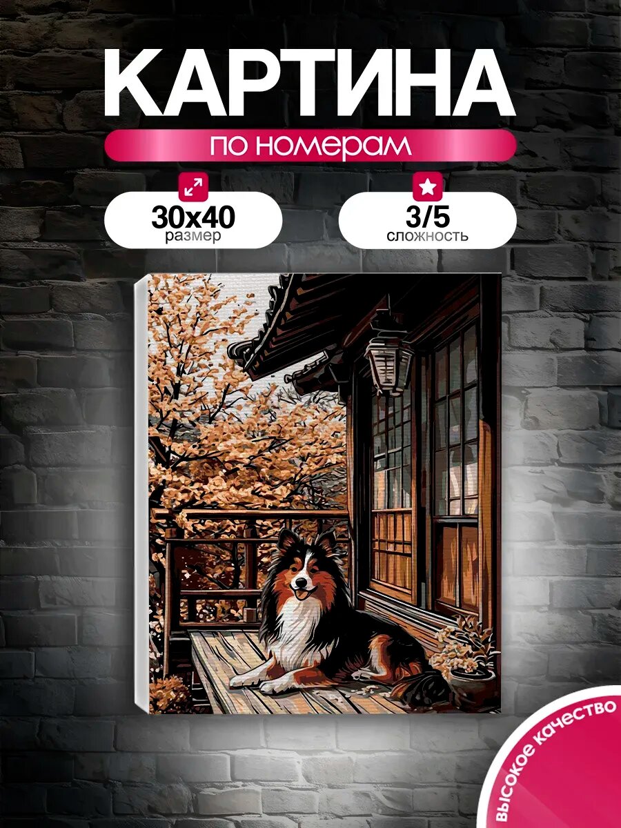 Картина по номерам 30x40 Пушистая шелти