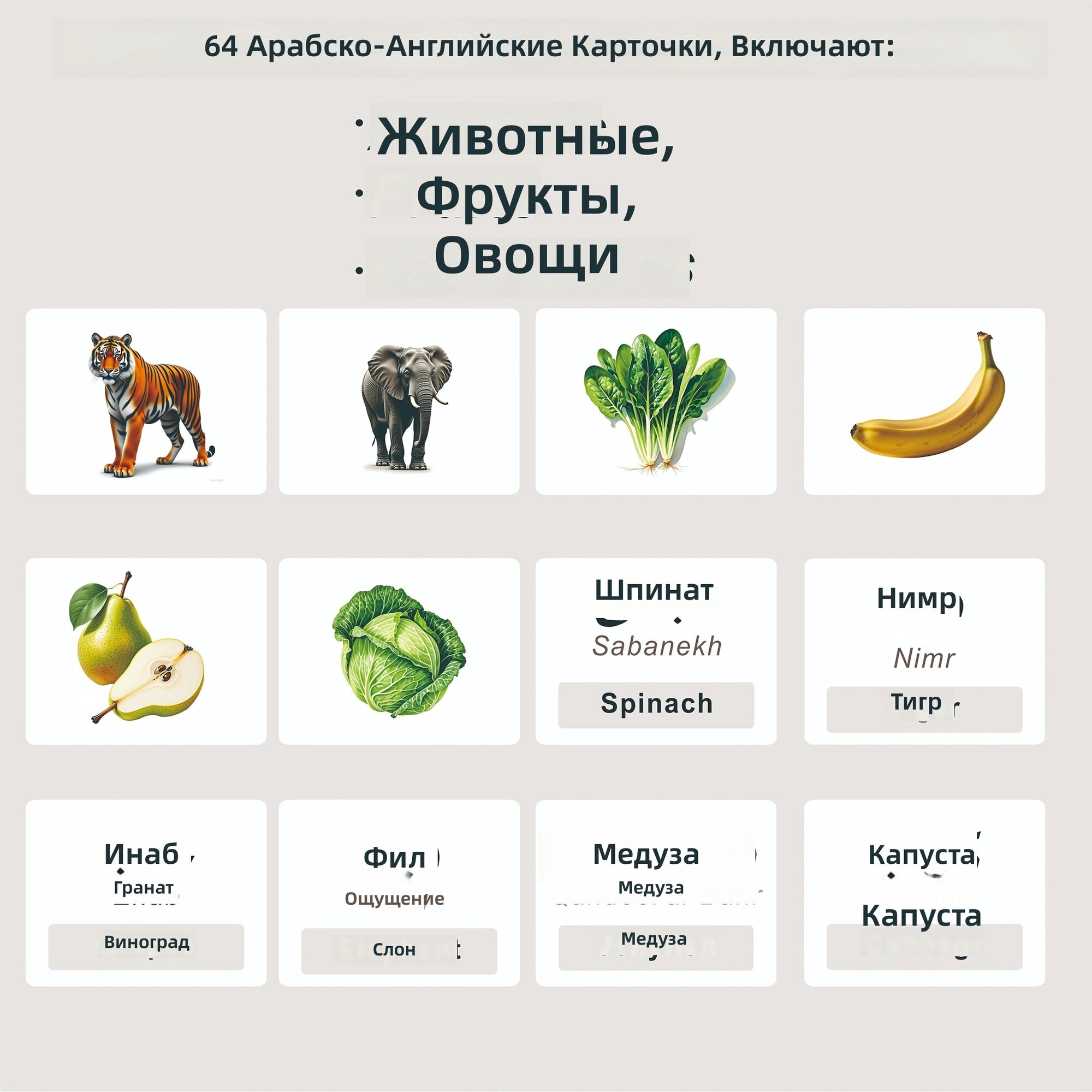 Набор из 64 карточек с первыми словами на арабском и английском языках: животные, фрукты, овощи