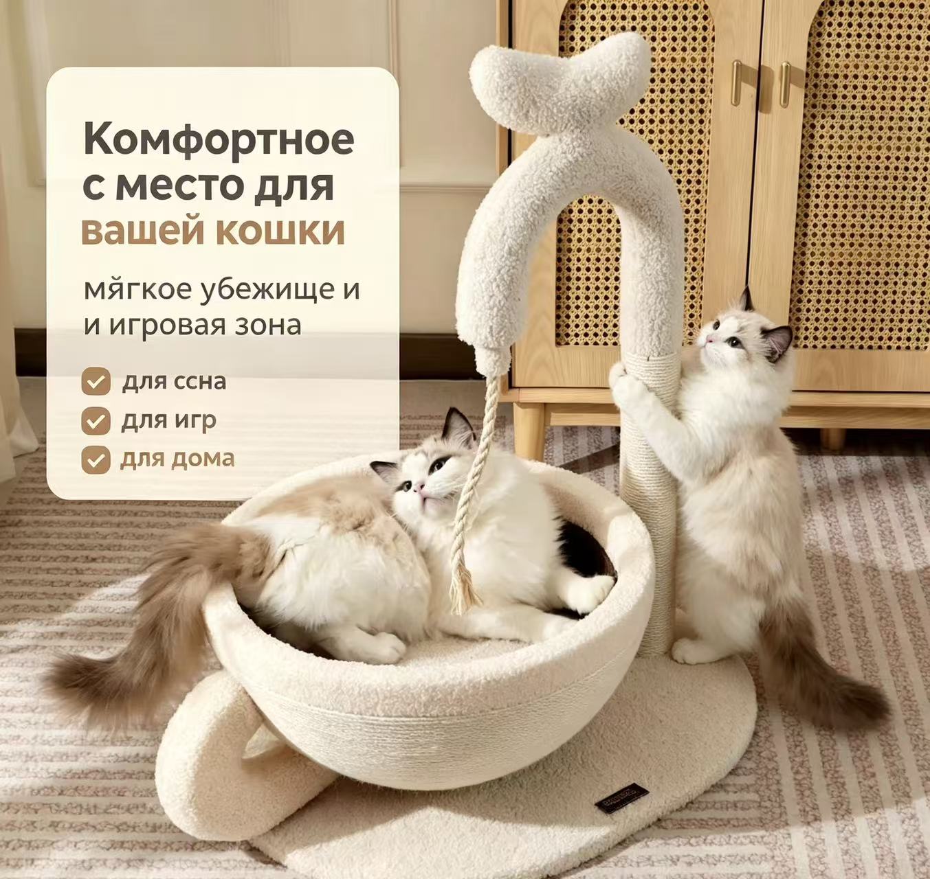 Кошачье гнездо — фото 1