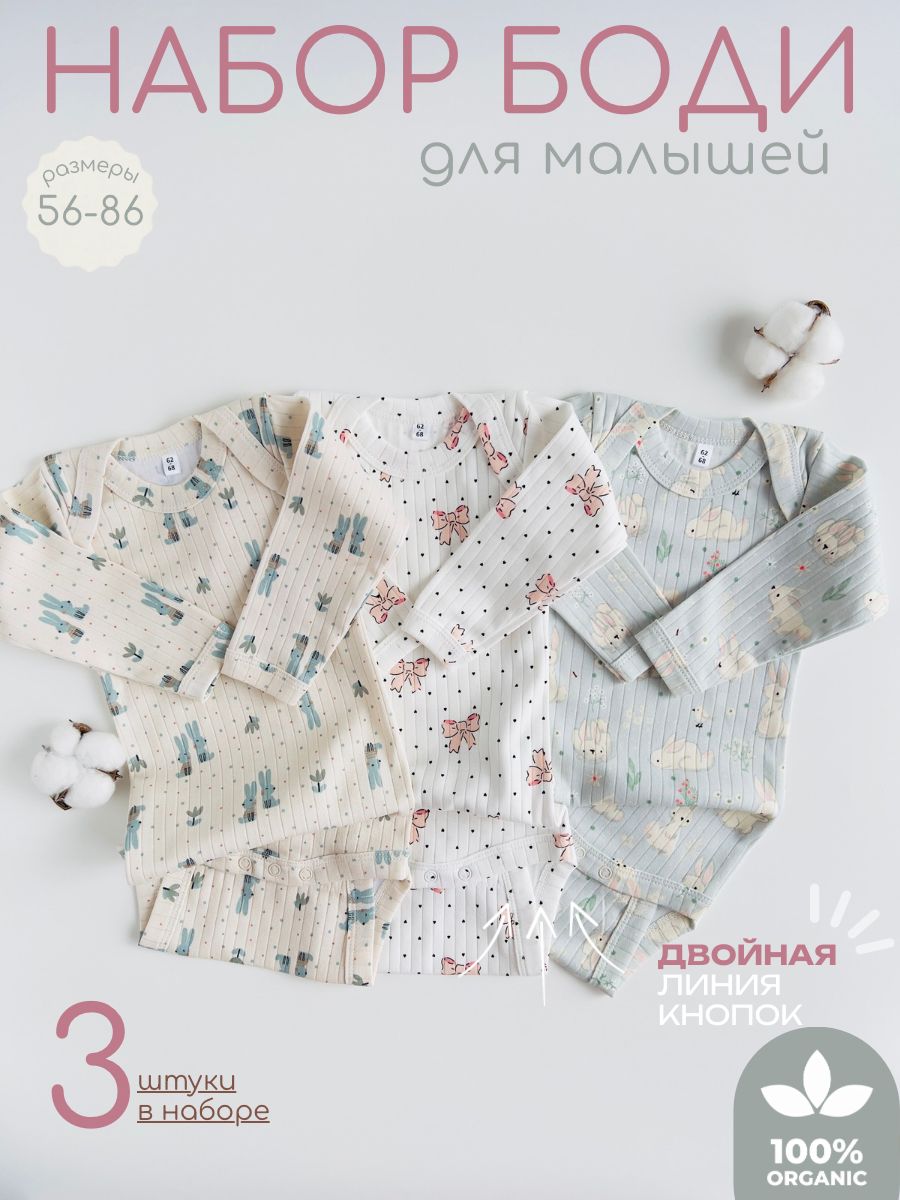 Боди