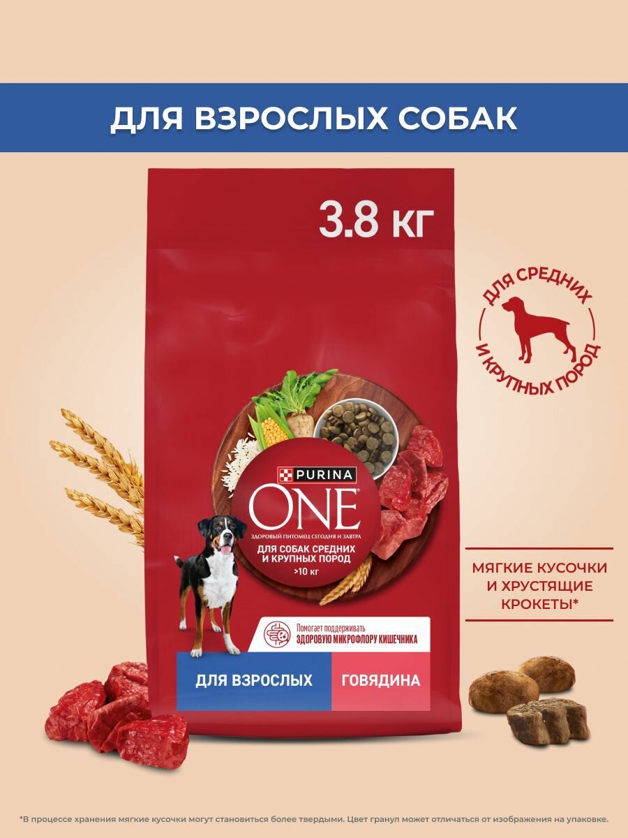 Сухой корм для собак Purina ONE для средних и крупных пород, с говядиной и рисом, 3,8 кг