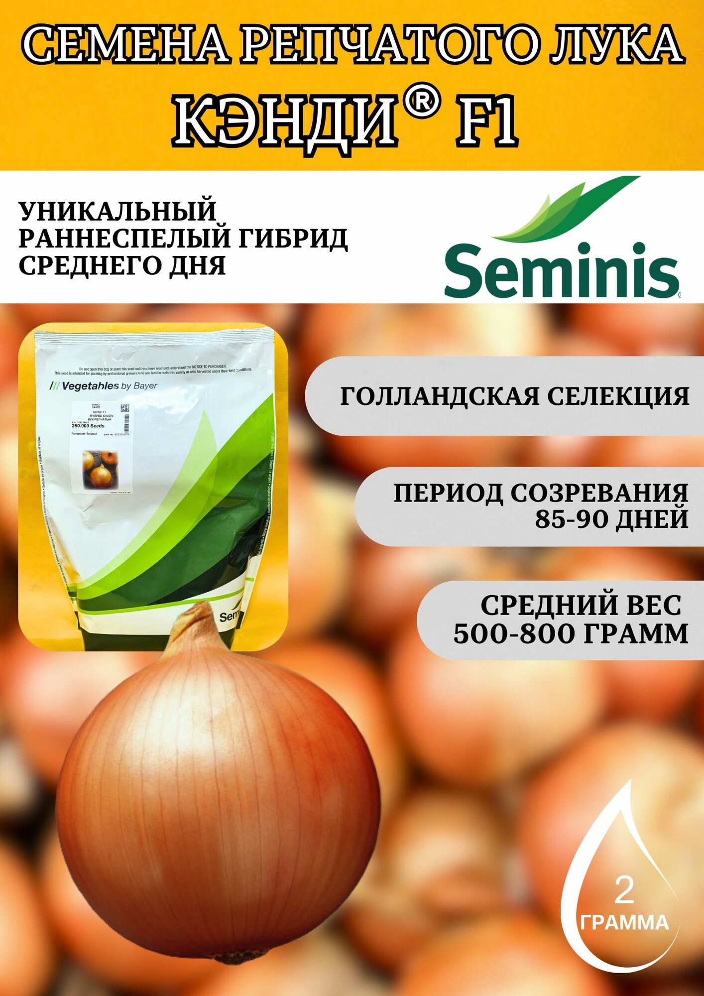 Семена лука Кэнди F1 2 грамма Seminis, профессиональные семена