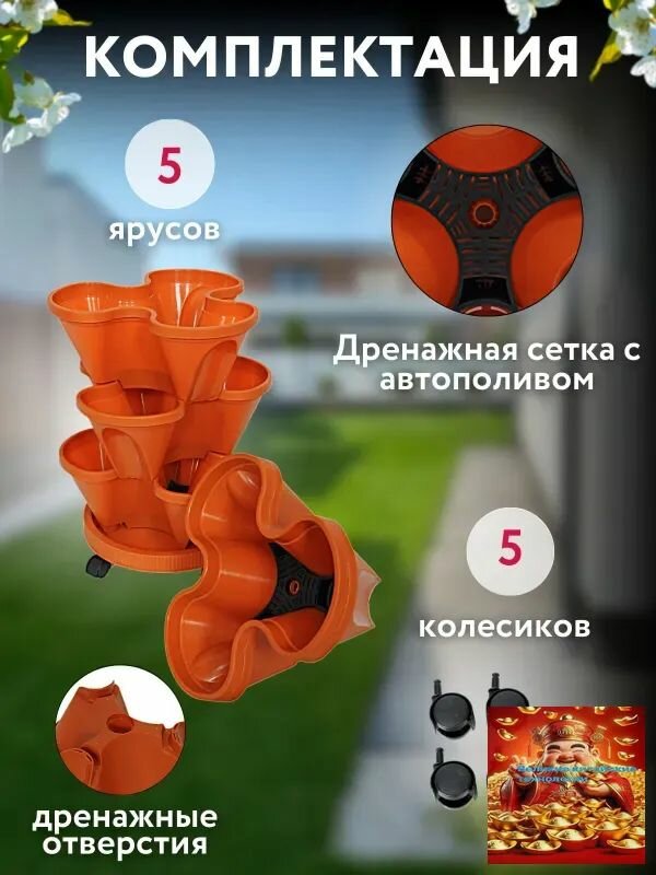 Грядка — фото 1