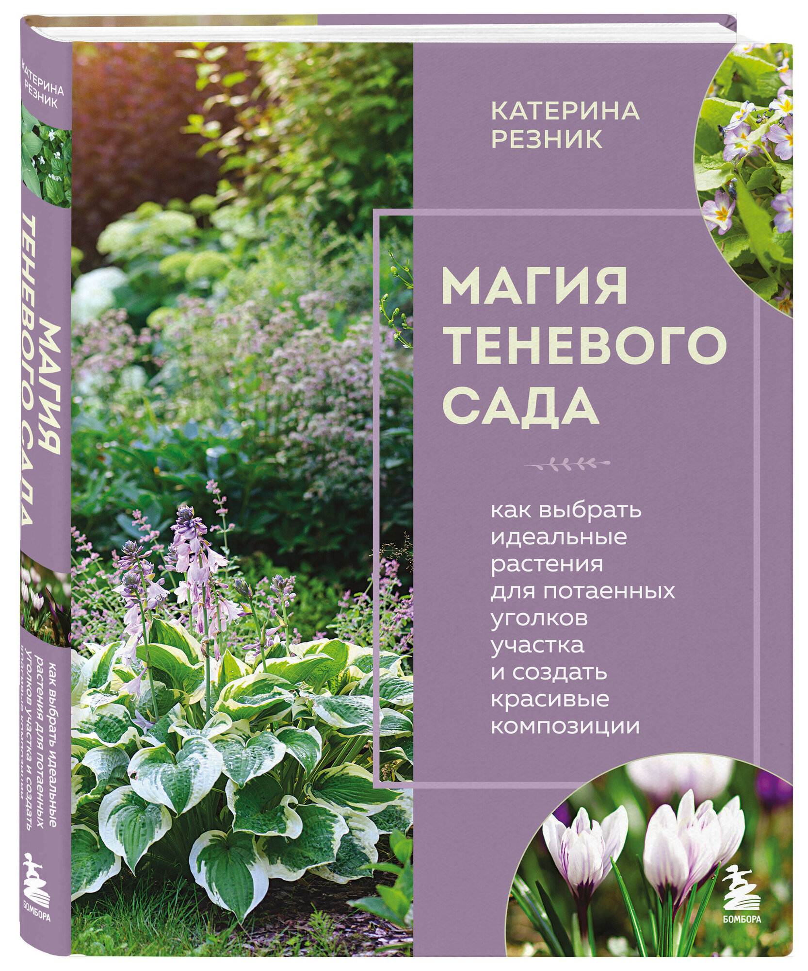 Магия теневого сада: Как выбрать идеальные растения для потаенных уголков участка и создать красивые композиции